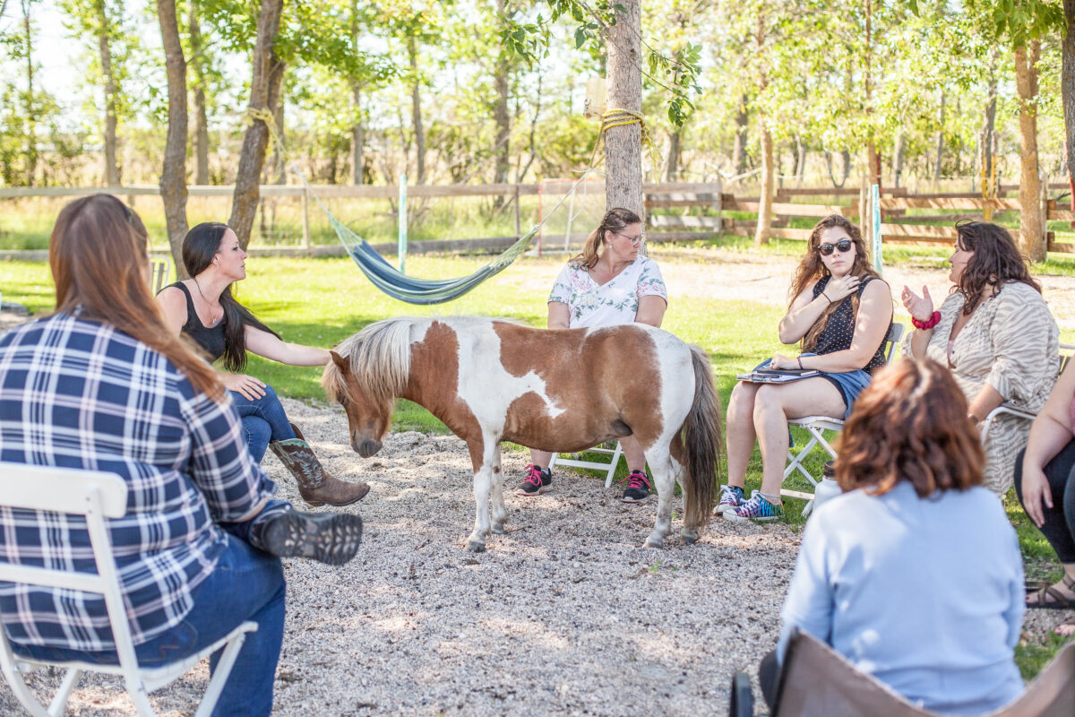 Lil’ Steps Wellness Farm: Pour encore plus de jeunes soutenus dans leur ...