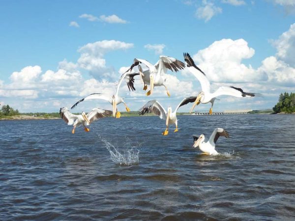 Our Communities - CDEM